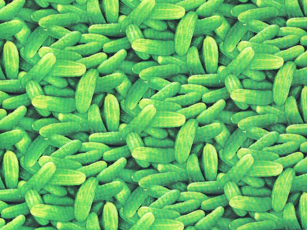 Planet Patchwork » Stoffe » Neues » Auswahl